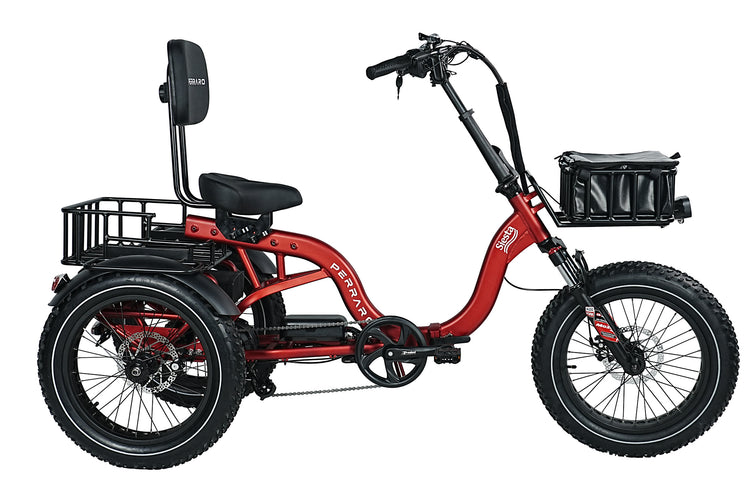 Discover Reverse Trikes: Power, Style & Stability Guide – Perraro ...